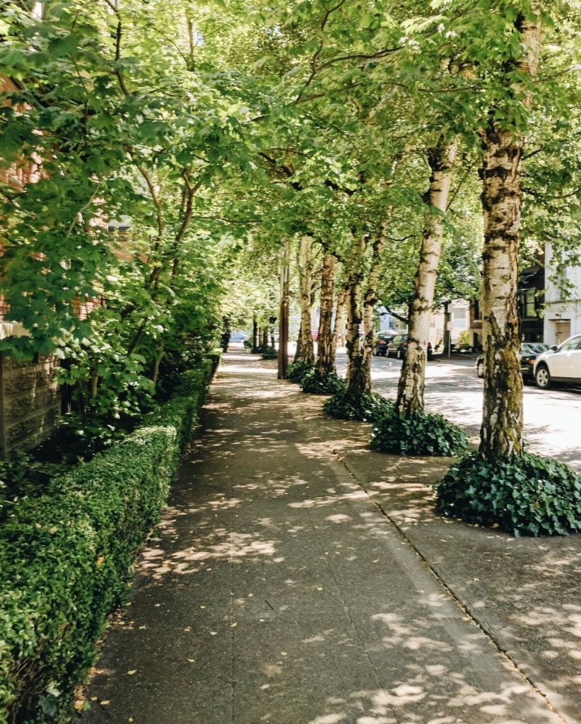 More Shade, More Gain | A Move Seattle Street Tree Story - SDOT Blog
