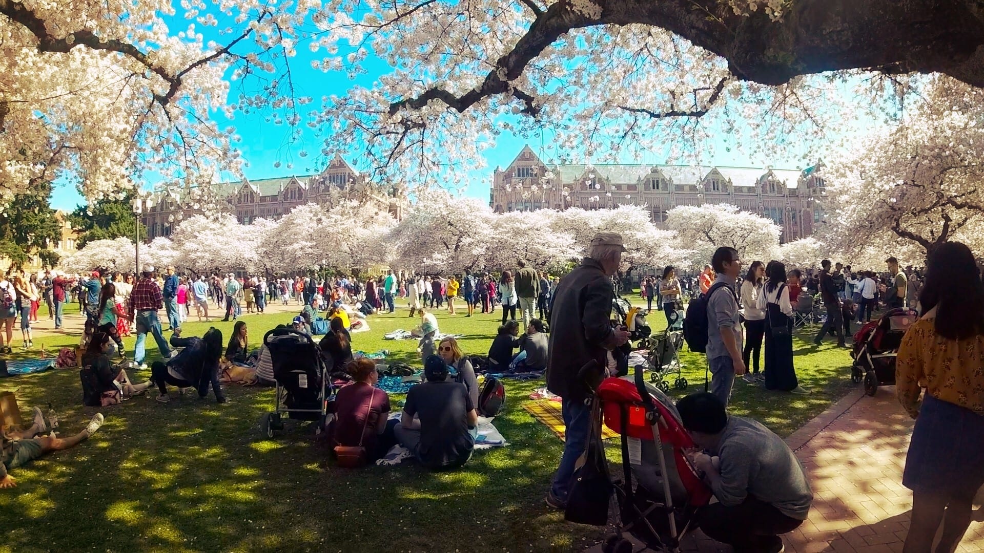 See what's moving Seattle this week: April 2 -7, 2019 - SDOT Blog