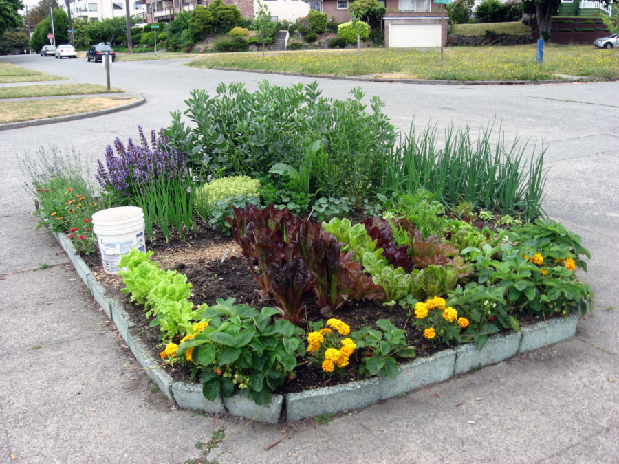 Calling all green thumbs! - SDOT Blog