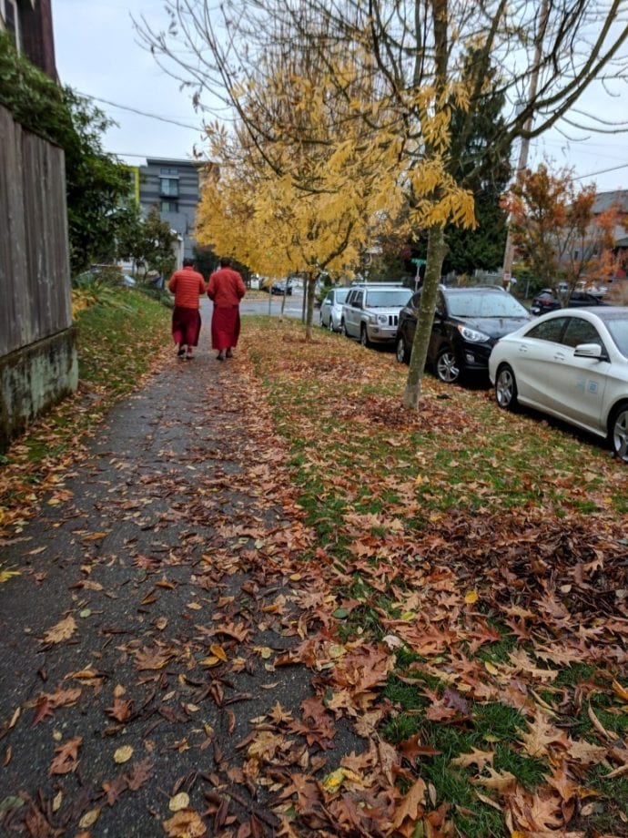 Autumn is here, and we’re all in this together. It's time to rake your ...