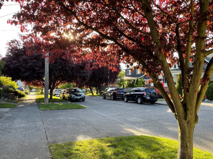 Best of the Month | Check out how we’re using trees, plants, and other ...