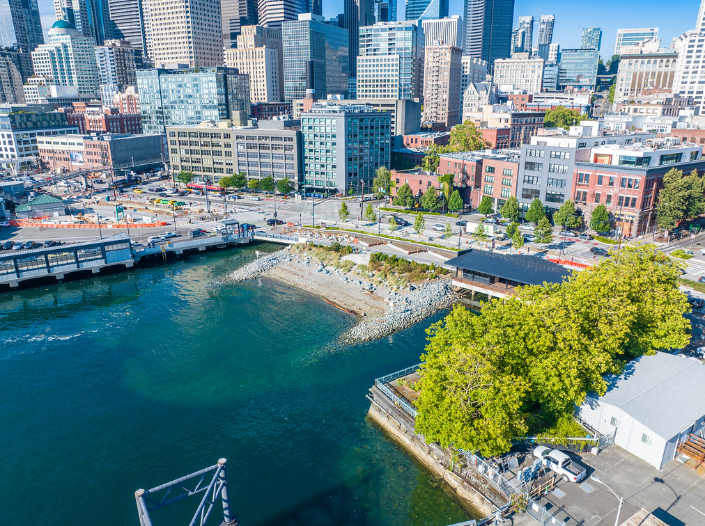 In Celebration Of Earth Month Learn How Waterfront Seattle Is Helping In Celebration Of Earth Month Learn How Waterfront Seattle Is Helping